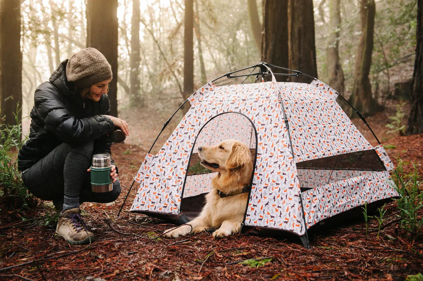 Ultimate Guide to Tent Camping with Dogs: Tips for Pet-Friendly – AdvenCrew